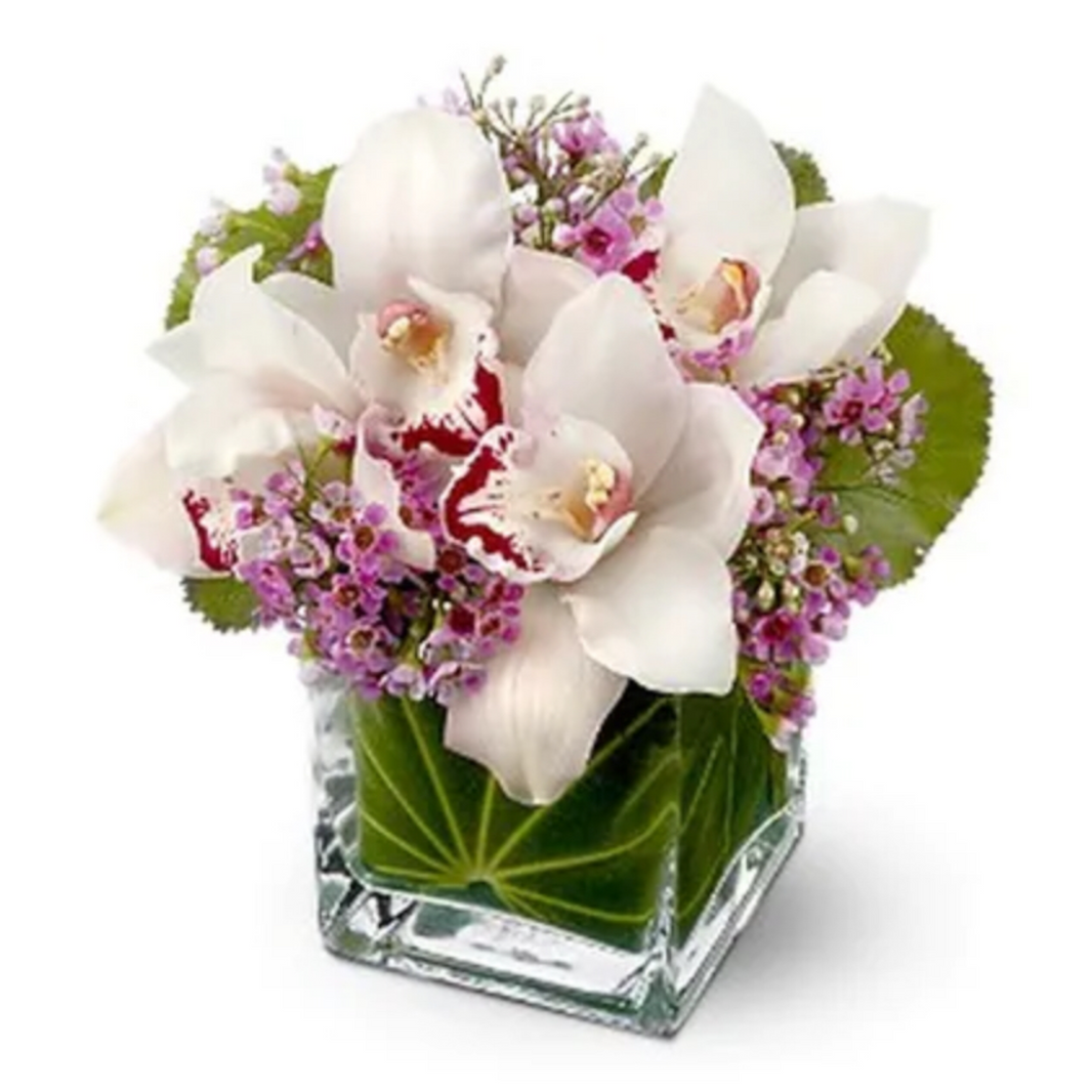 Flowershopping.gr - Same-day flower delivery & Best florist in Athens